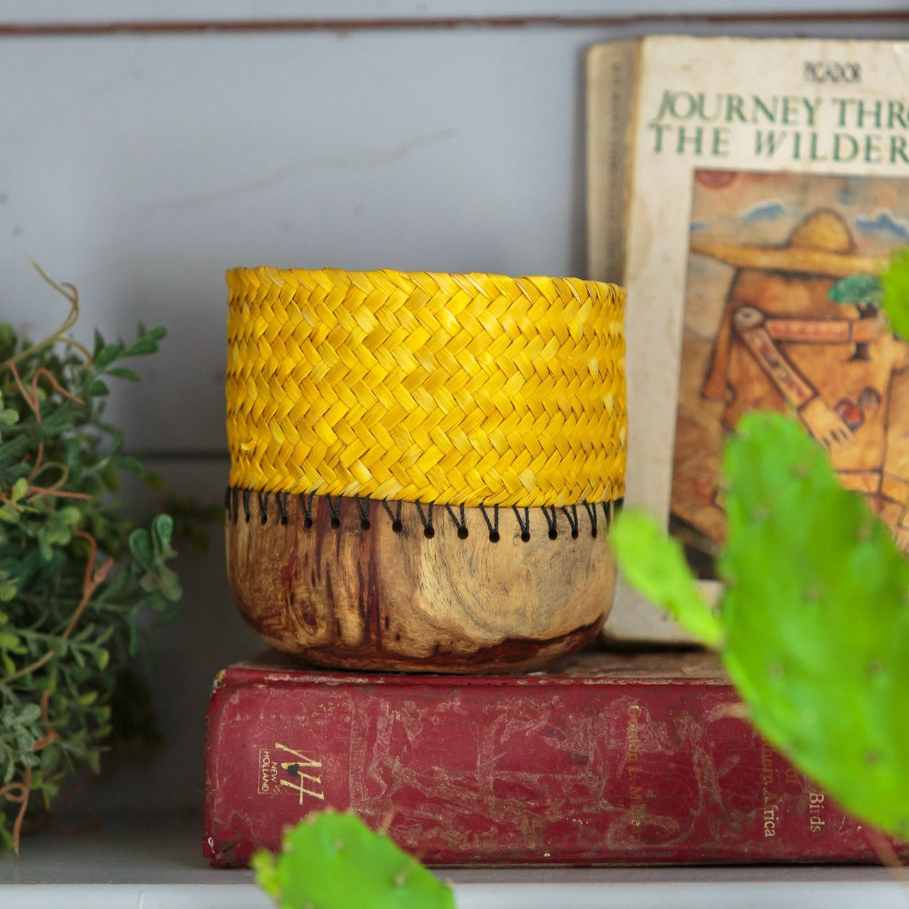 Mantapala Carved Pot in Yellow – MADE51